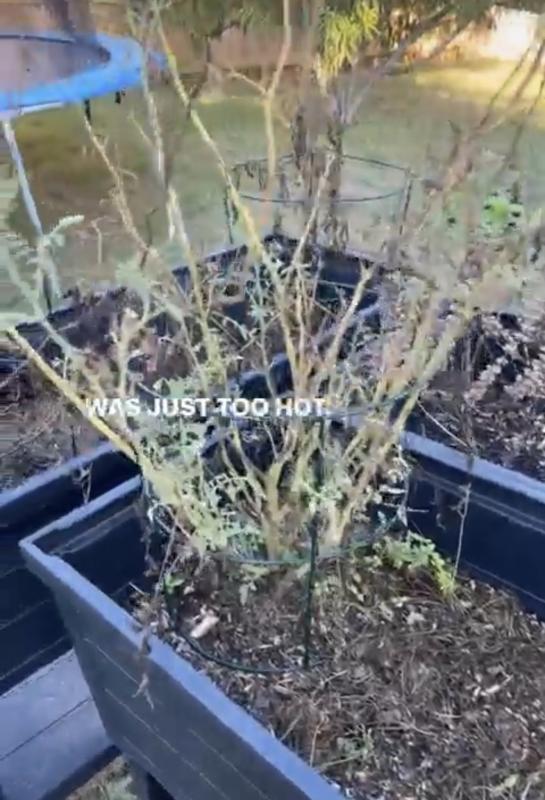 50 Shades of 30 Day Challenges pt 47: Fiddy's Gettin Swole Like Next ...