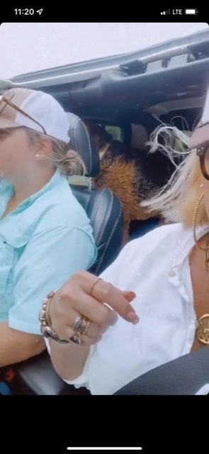 Tikaa Cone: Pill Popper, Grifting Shopper, Map Making, Small Business ...