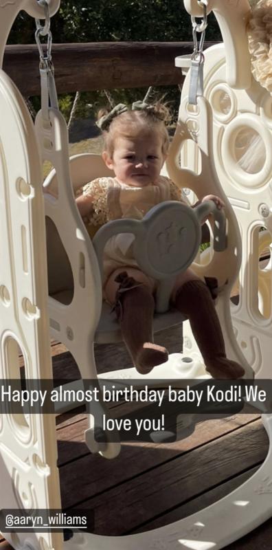 Aaryn Williams: High drama mama gets a dose of karma; Aaryn doxxed the ...